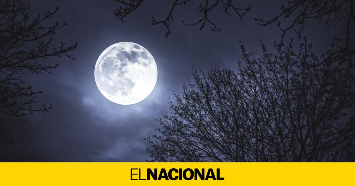 Lluna plena d'agost 2023: a quina hora es podrà veure avui la ...