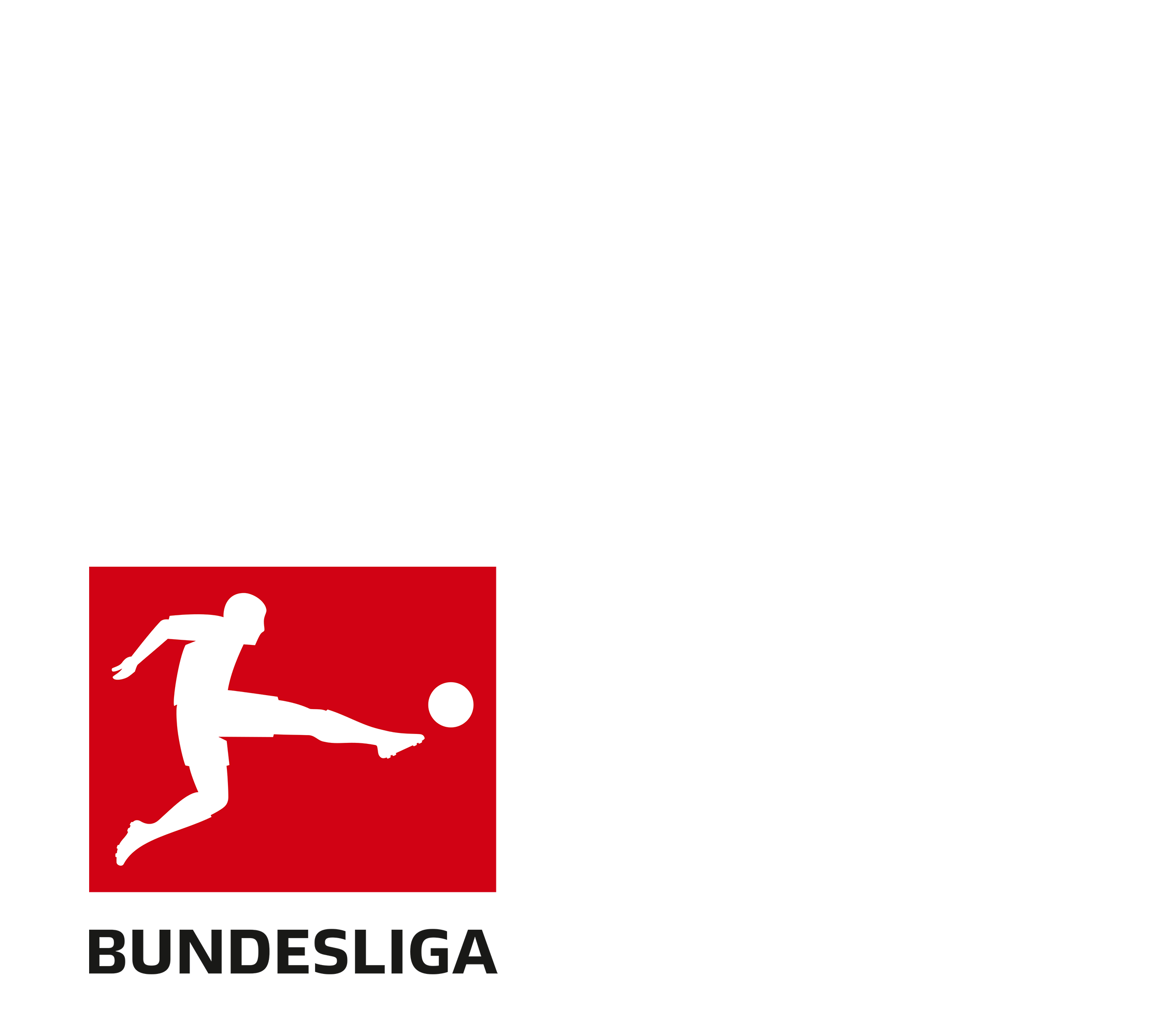 Bundesliga 2023/24