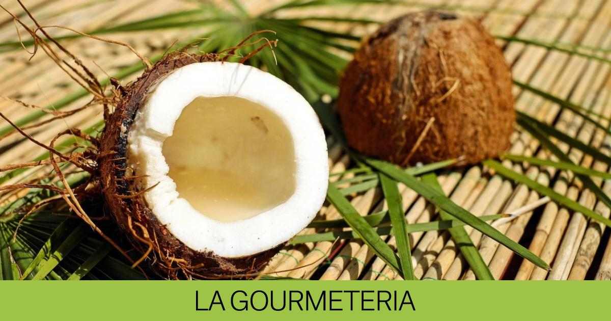 Día Mundial del Coco: 5 bebidas que puedes preparar (y te encantarán)