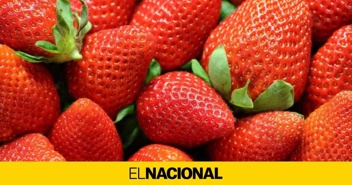 Fresas: 4 propiedades y beneficios de esta fruta