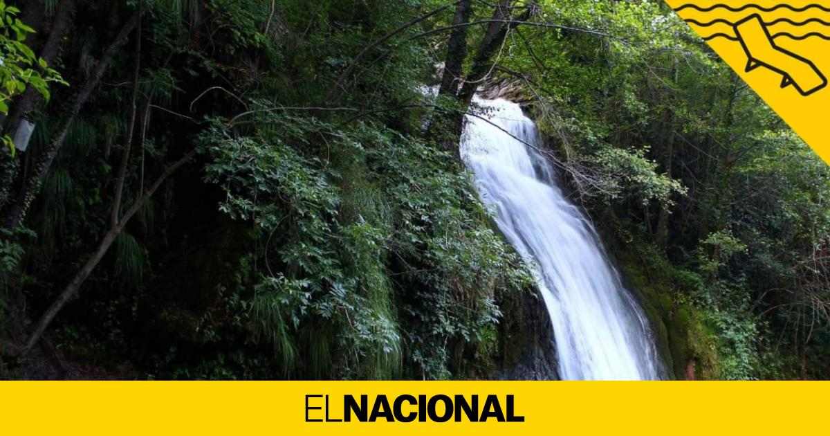 Soy senderista y estas son las 7 cascadas de Catalunya más impresionantes