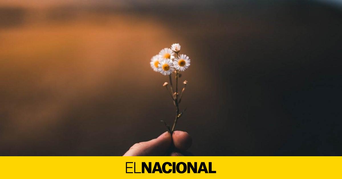 5 consejos para controlar los cambios de humor