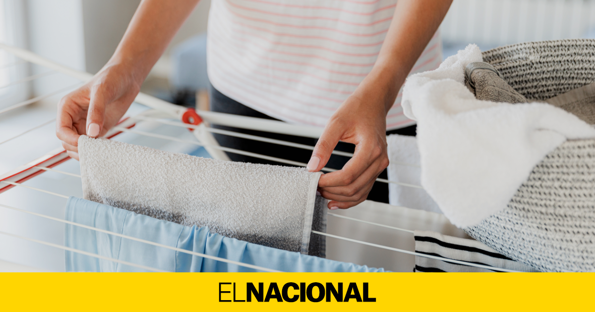 5 consejos para secar tu ropa en casa sin problemas de humedad