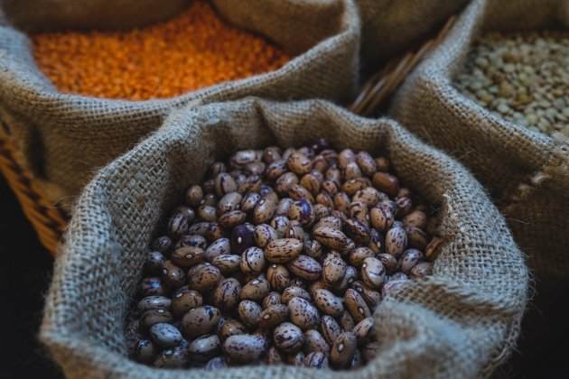 ¿Por qué se está reduciendo la superficie cultivada con legumbres?