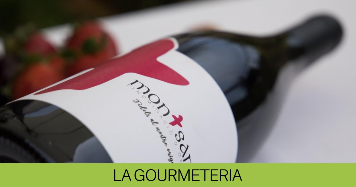 DO Montsant: qualitat, singularitat i vincle amb el territori
