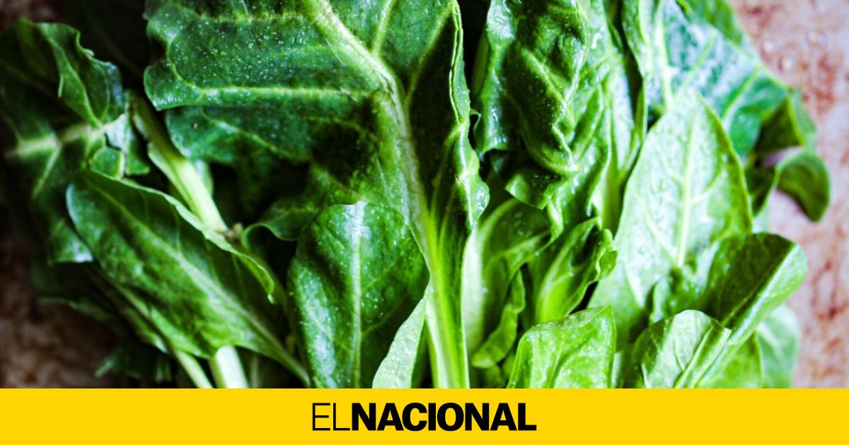 Les bledes: un tresor nutricional