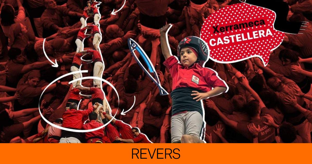 ¿Qué tienen que ver los castells con las anchoas? Las partes de la ...