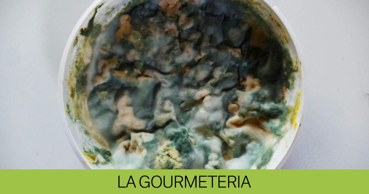 ¿Se pueden comer los alimentos con moho?