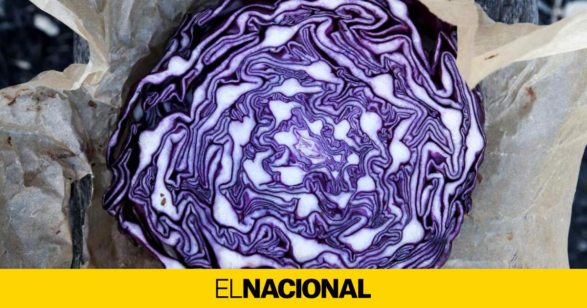 Beneficios nutricionales de la lombarda