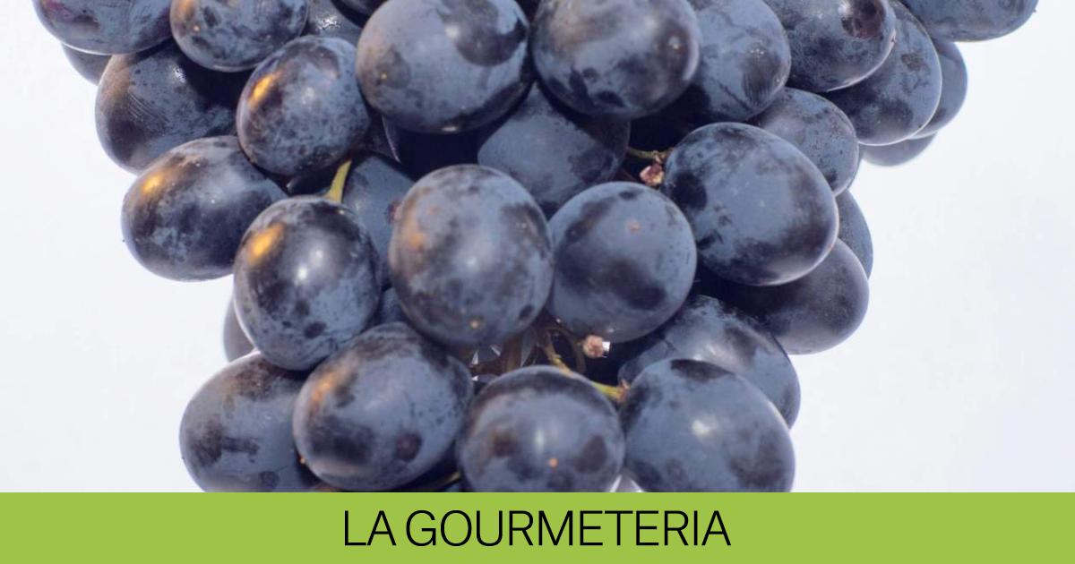 ¿Por qué hay tan pocos alimentos de color azul en la naturaleza?