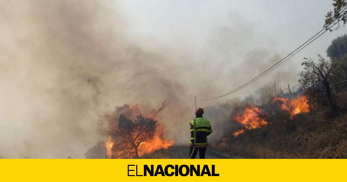 Detenido un bombero voluntario acusado de provocar el incendio de Portbou que quemó 600 ...