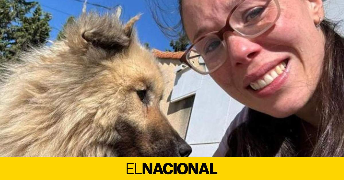 Una pesadilla con final feliz: Lúa vuelve a casa después de haberse ...