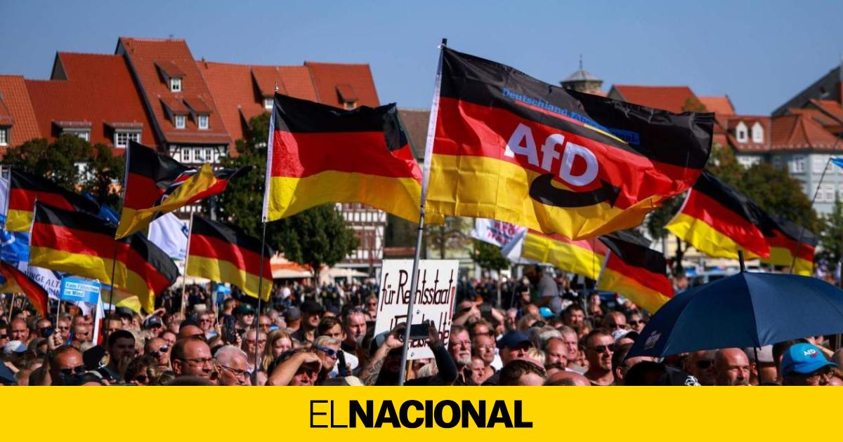 7 candidatos de AfD, muertos en "extrañas circunstancias" antes de las ...