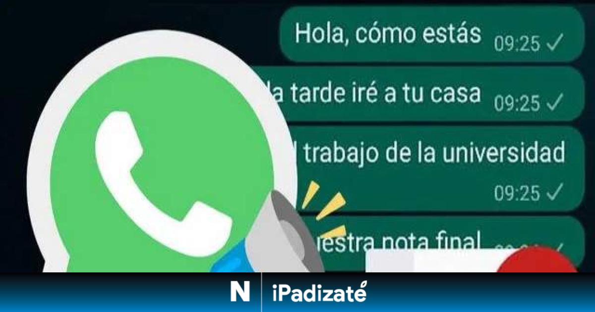 WhatsApp llança un sistema de traducció automàtica que promet ...