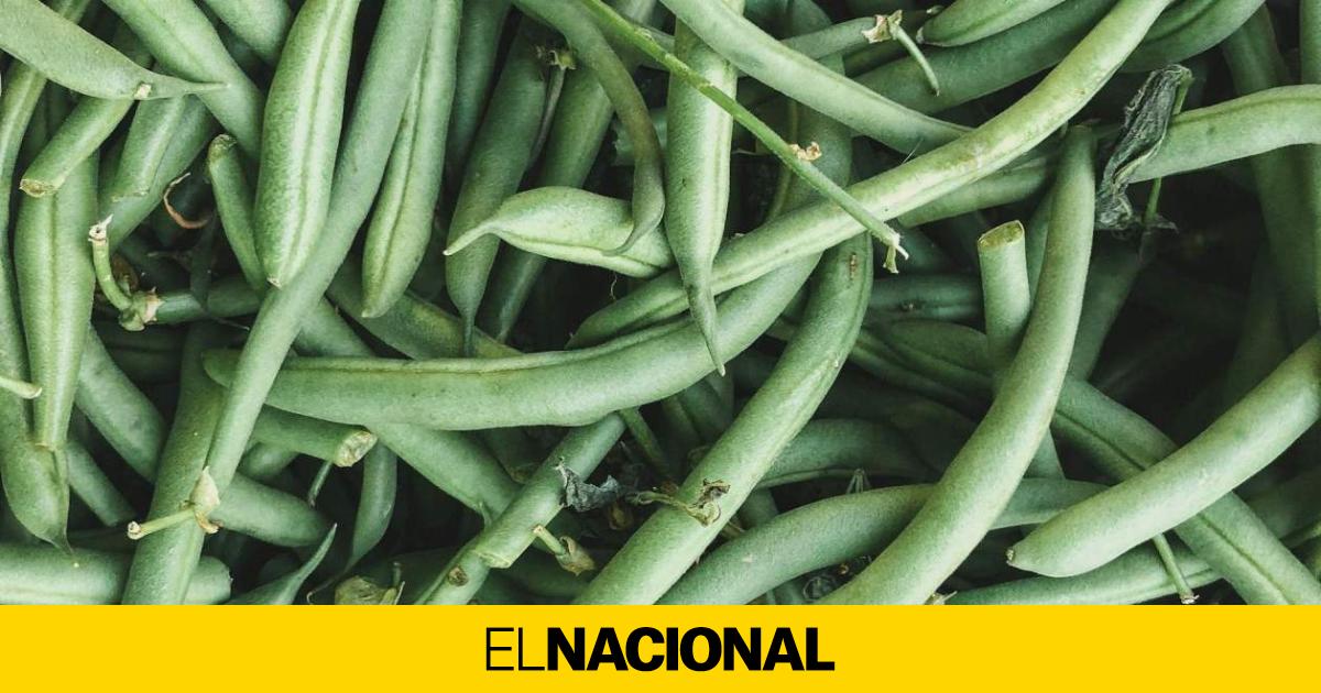 Diego Gularte, nutricionista: “Nuevas judías finas con una muy buena ...