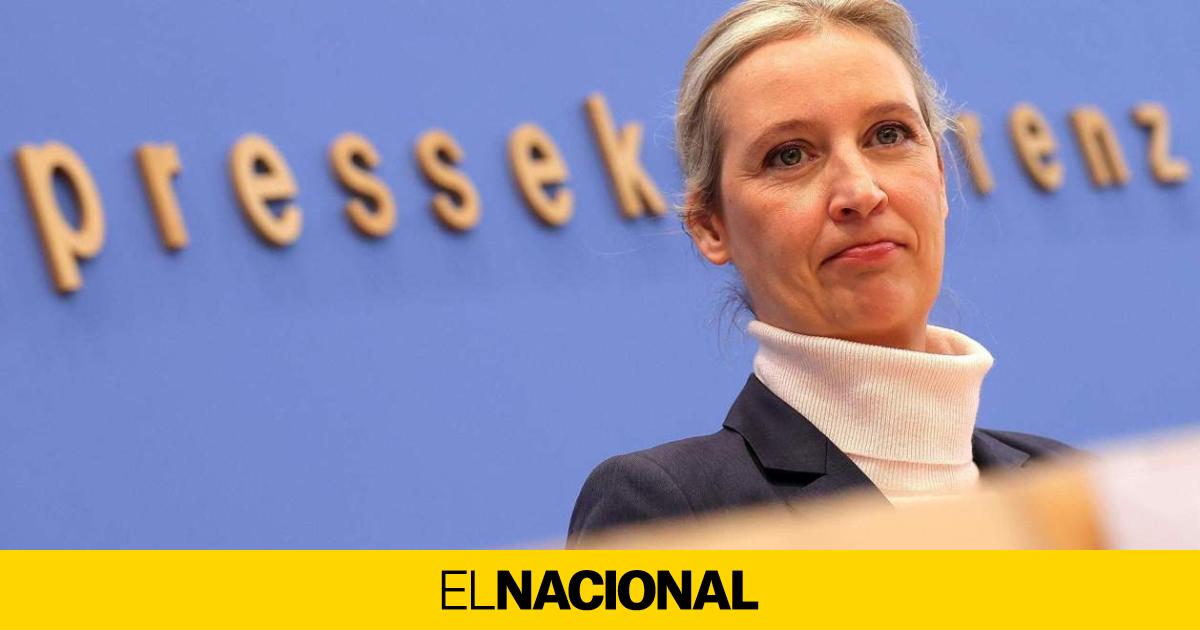 La AfD se queda fuera del gobierno, pero emerge como un partido ...