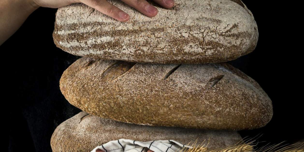 Un metge explica per què el pa ara se'ns posa malament: "El dels ...