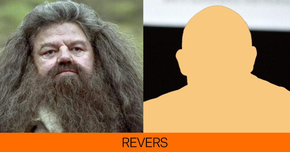 La serie de Harry Potter ya tiene a su Hagrid y es un comediante británico