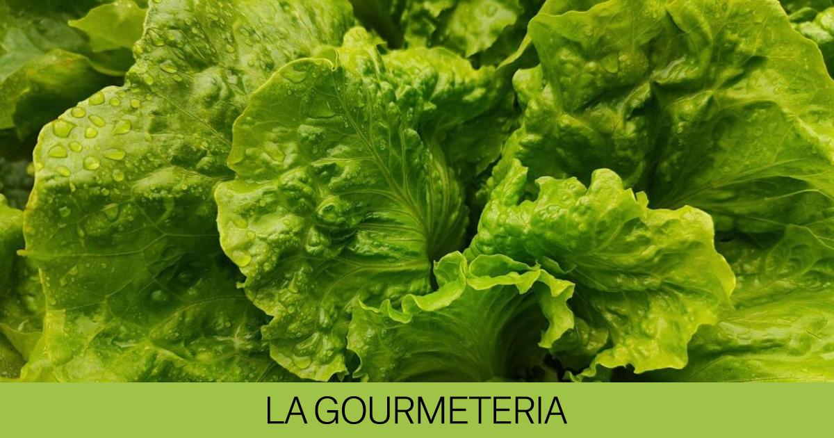 Un verdulero aclara qué tipo de lechuga debemos escoger: no todas son ...