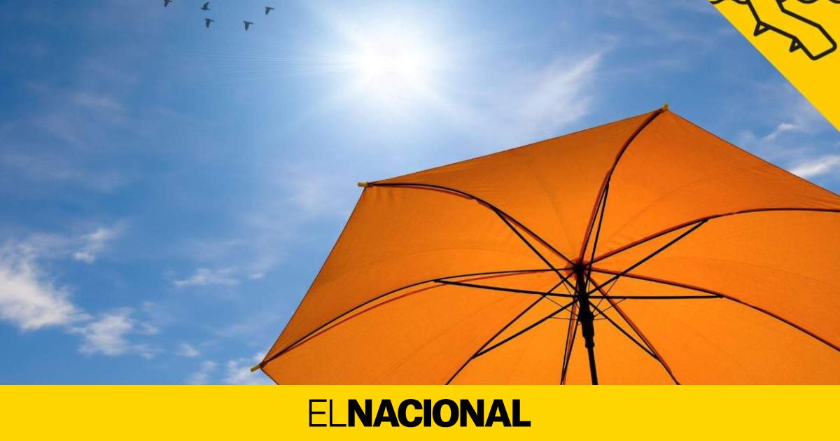 Adiós al parasol convencional: esta es la alternativa para protegerte ...