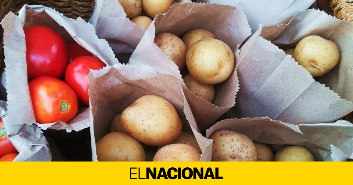 Sorpresivo hallazgo: la patata surgió de una evolución del tomate hace ...