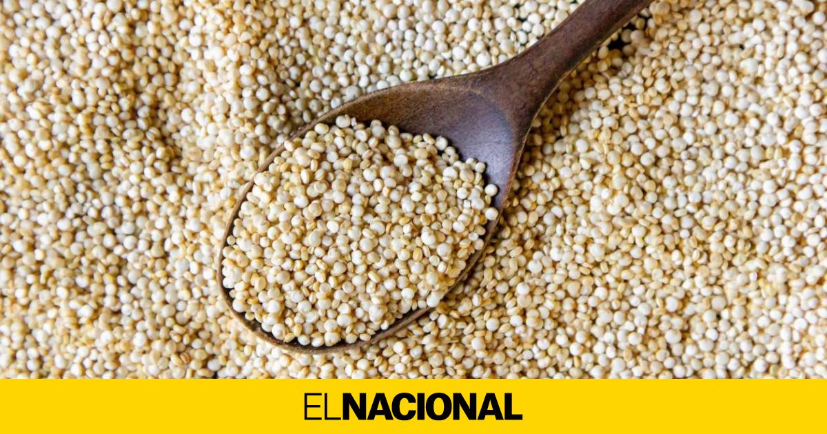 Pablo Montaner, entrenador personal: “Cuatro superalimentos de ...