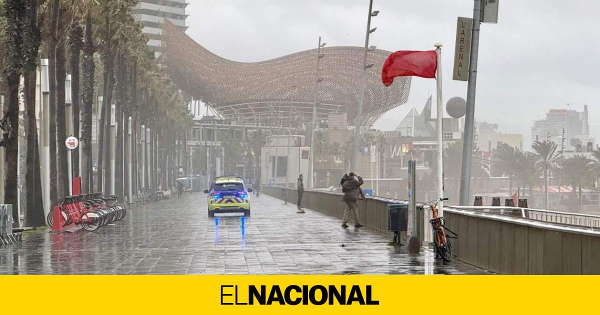 El temporal no dona treva: pluja molt abundant, rius desbordats i risc ...