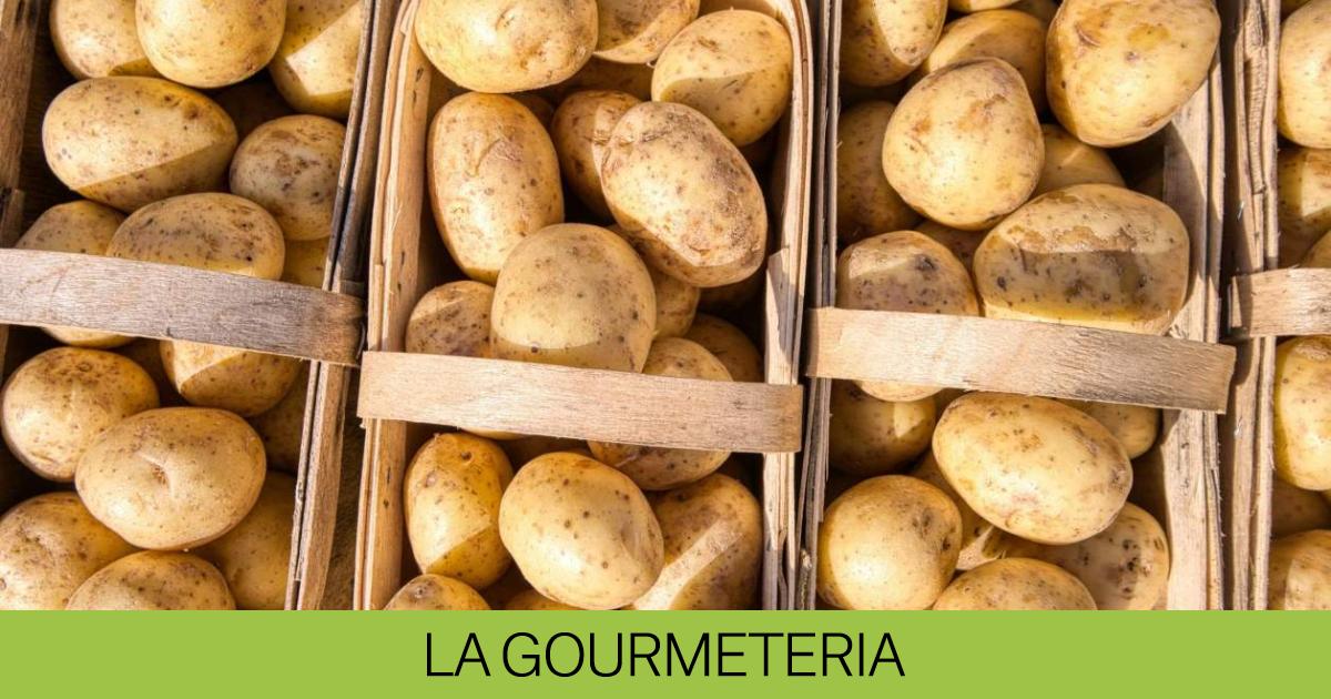 Descubre los tipos de patata más populares, para qué utilizarlas y como ...