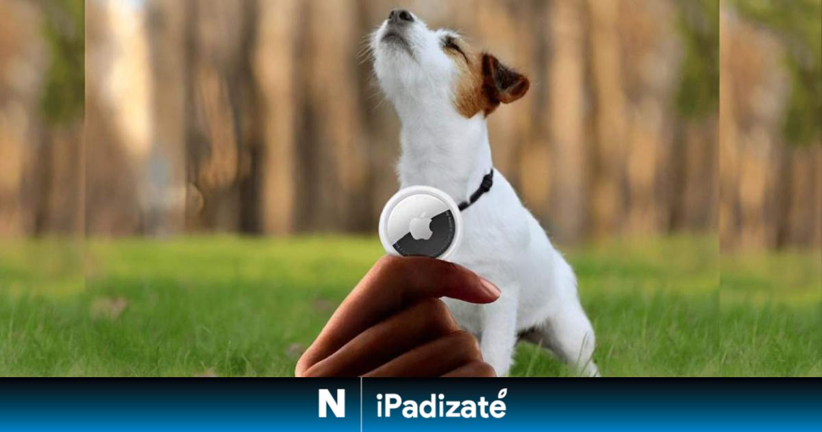 Este perro perdido se ha reunido con su dueño gracias al AirTag de Apple