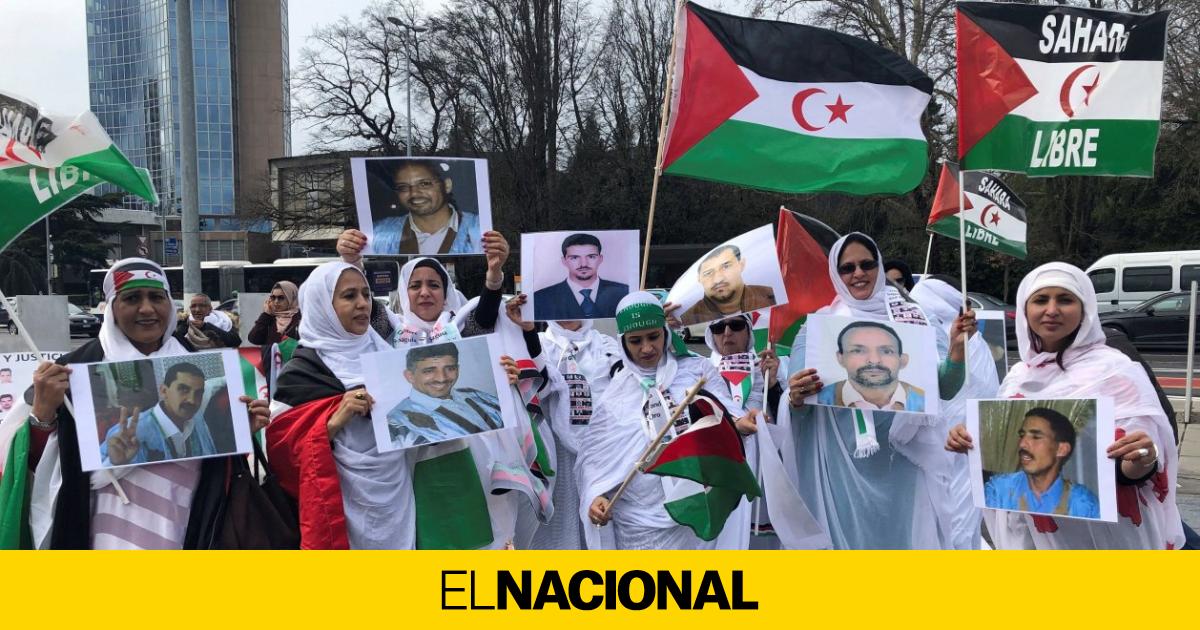 Piden al Papa que abogue por el final de la ocupación del Sáhara Occidental