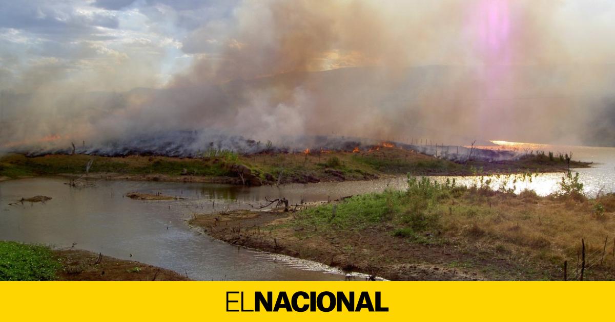 Cuatro claves para entender los incendios de la Amazonia
