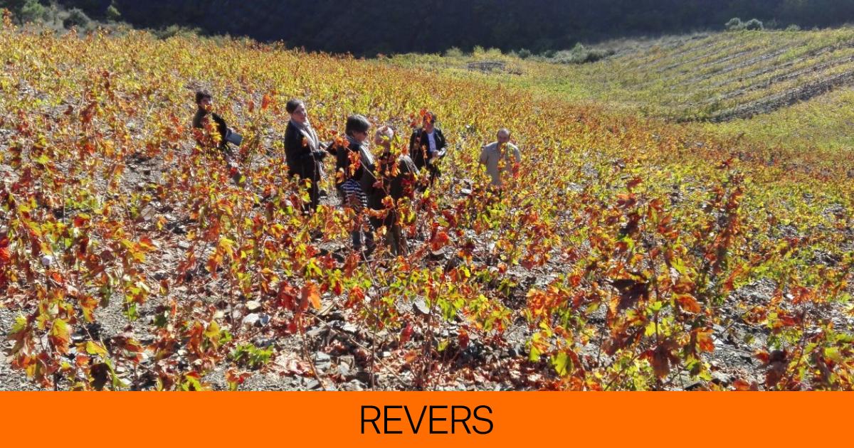 'Priorat en persona': cuando el vino y la literatura se dan la mano